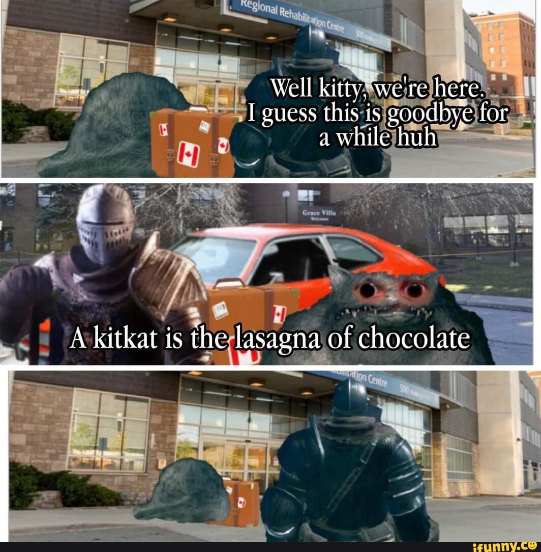 Kitkat memes. Best Collection of funny Kitkat pictures on iFunny