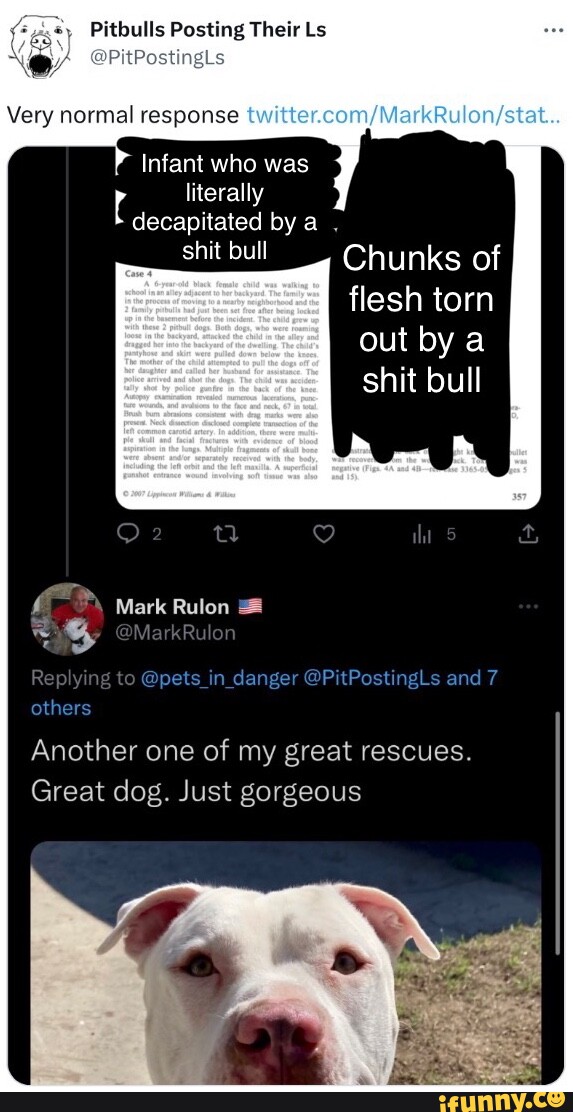 Pitbulls Posting Their Ls @PitPostingLs Very normal response Infant who ...
