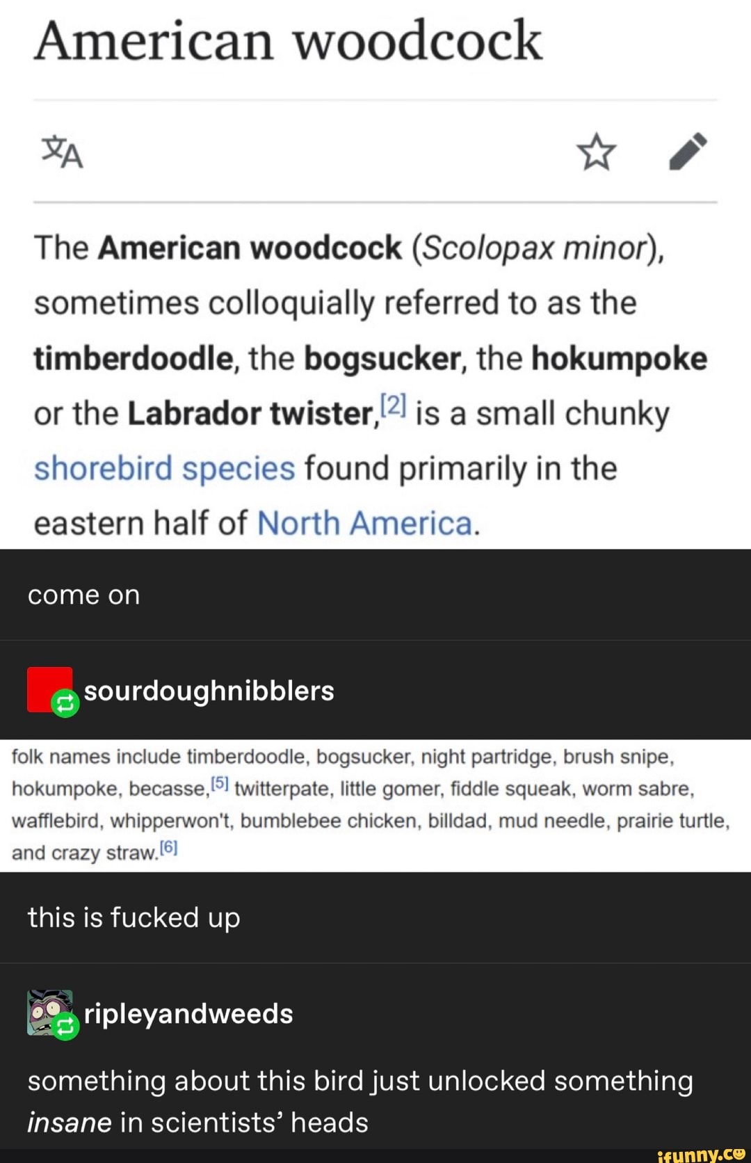 Timberdoodle memes. Best Collection of funny Timberdoodle pictures on ...