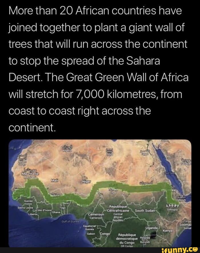 More than 20 African countries have joined together to plant a giant ...