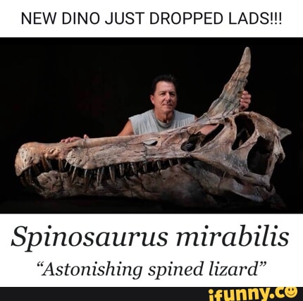 NEW DINO JUST DROPPED LADS!!! Spinosaurus mirabilis "Astonishing spined ...
