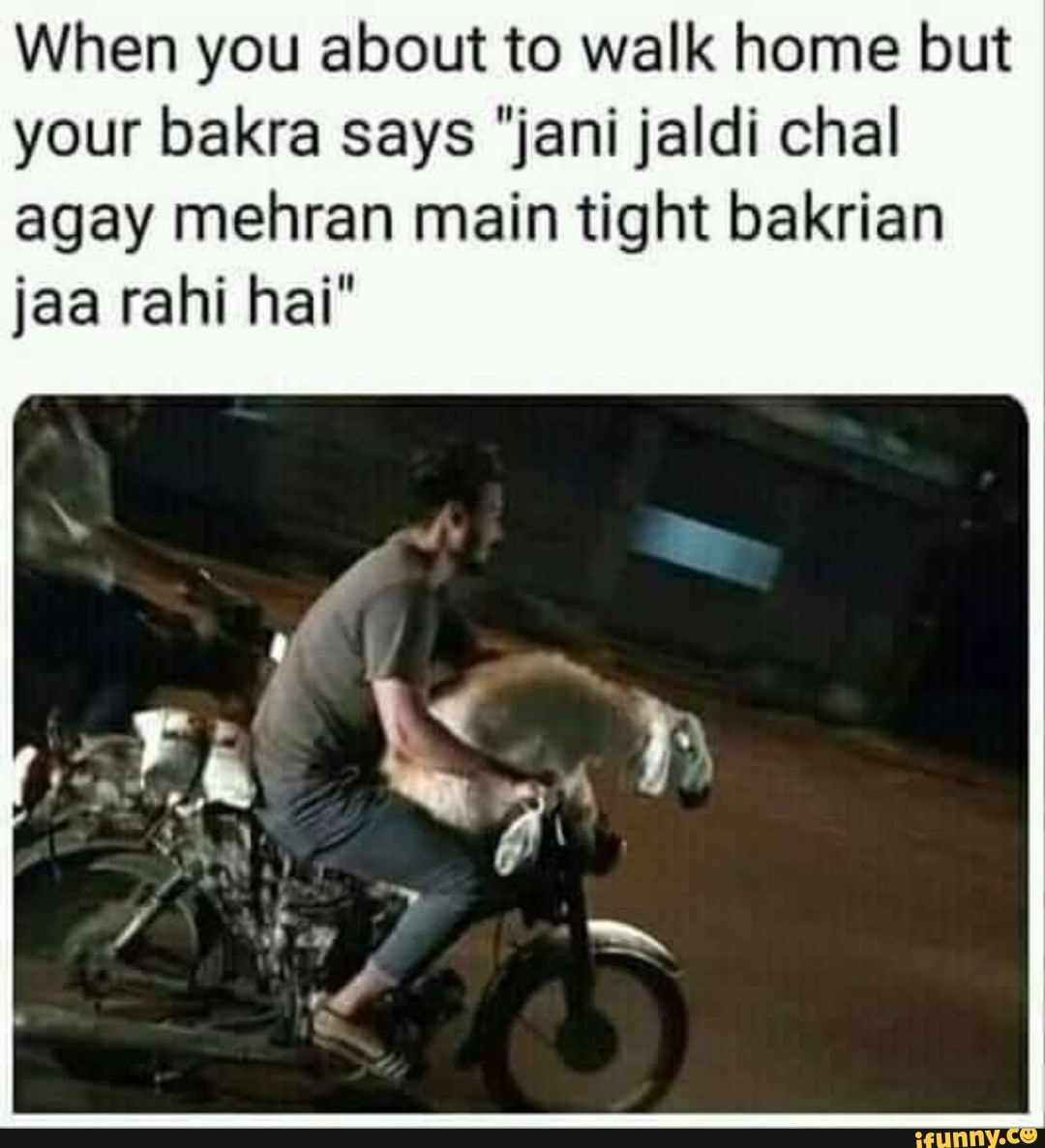 Bakra memes. Best Collection of funny Bakra pictures on iFunny