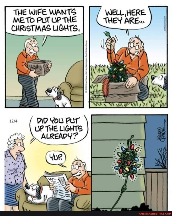 THE WIFE WANTS WELL, HERE METO PUT UP THE THEY AREw CHRISTMAS LIGHTS ...