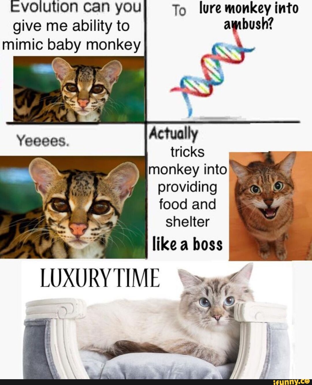 Picture memes oIlI60AX6 by thee_worst_2016: 261 comments - iFunny