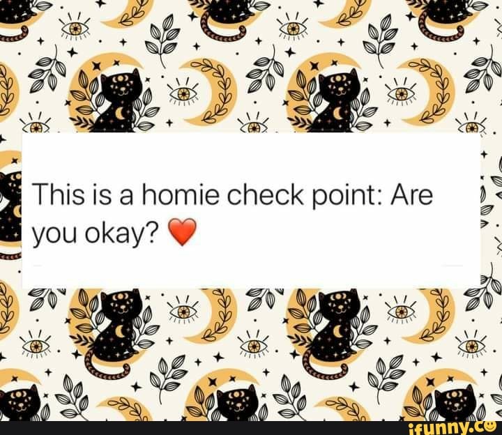 Ss This is a homie check point: Are you okay? ww - iFunny