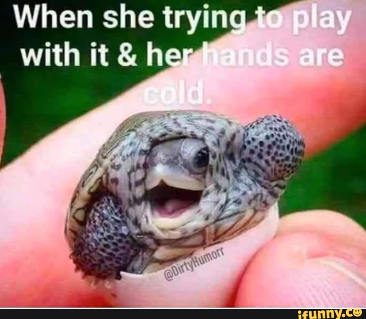 Itstiny memes. Best Collection of funny Itstiny pictures on iFunny