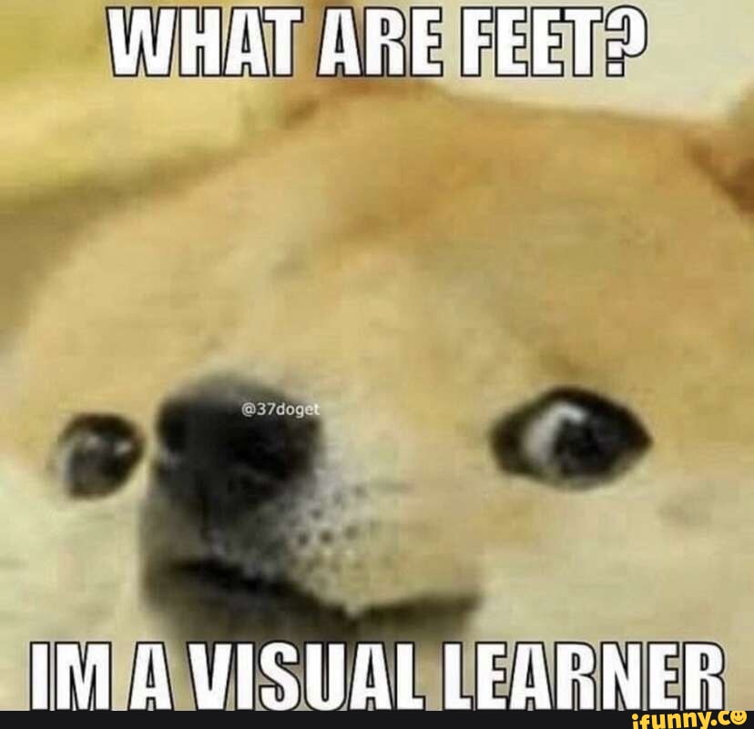 WHAT ARE FEET:' IN VISUAL LEARNER - iFunny