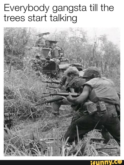Everybody gangsta till the trees start talking - iFunny