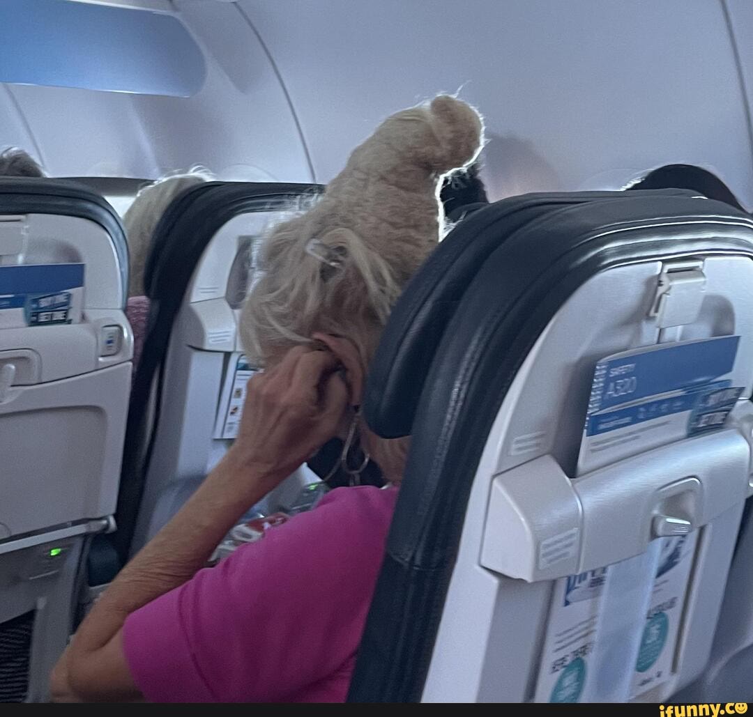 Dreadlock memes. Best Collection of funny Dreadlock pictures on iFunny