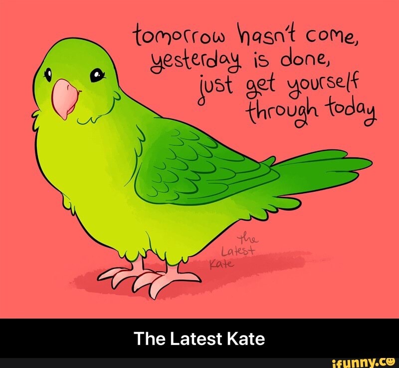 The Latest Kate - The Latest Kate - iFunny