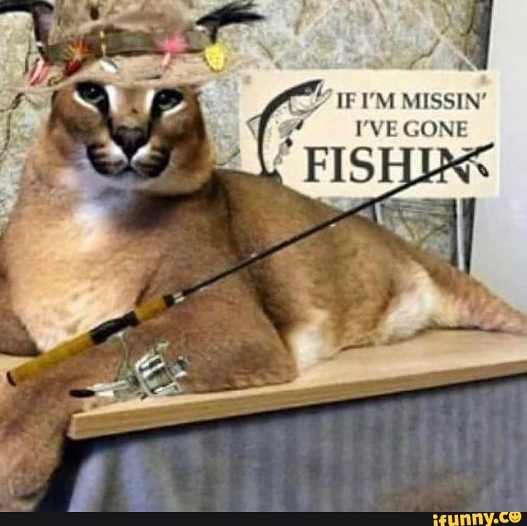 Flopps memes. Best Collection of funny Flopps pictures on iFunny