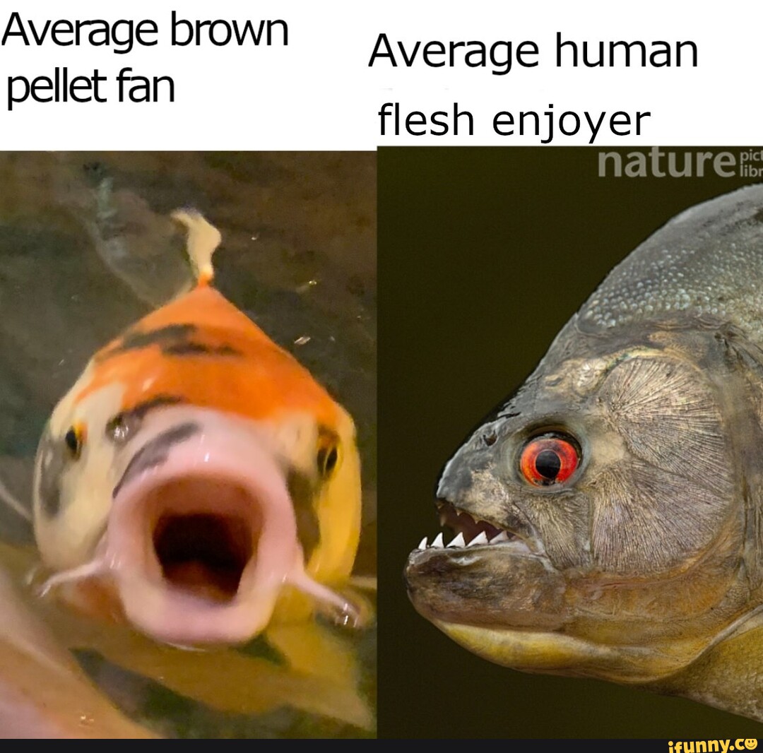 Average brown pellet fan Average human flesh enjoyer natures - iFunny
