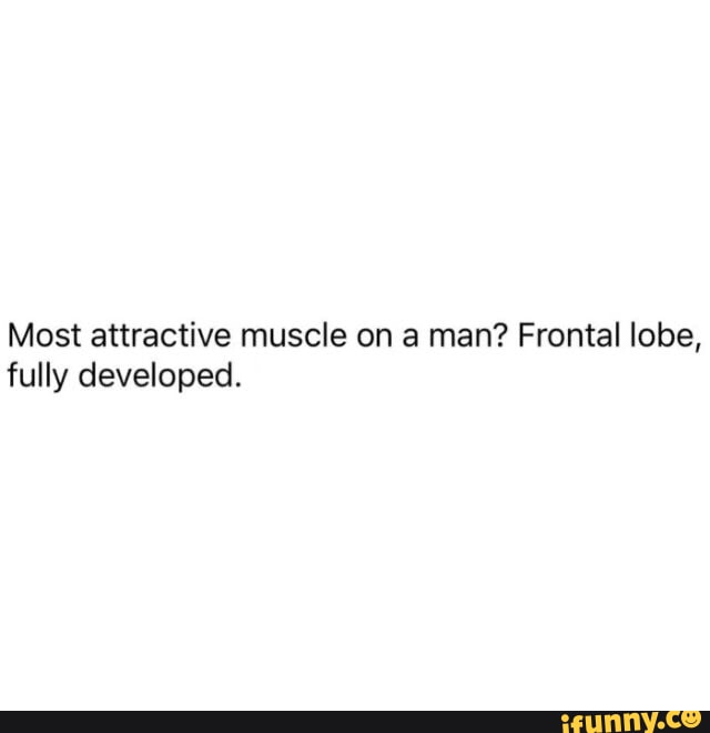 Most attractive muscle on a man? Frontal lobe, fully developed. - iFunny