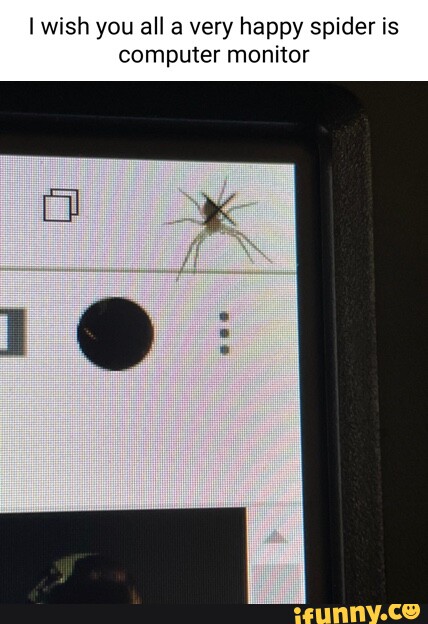 I wish you all a very happy spider is computer monitor - iFunny