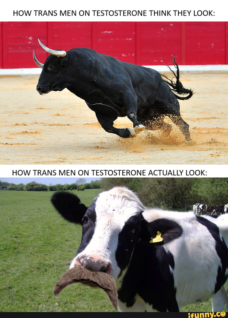 HOW TRANS MEN ON TESTOSTERONE THINK THEY LOOK HOW TRANS MEN ON ...