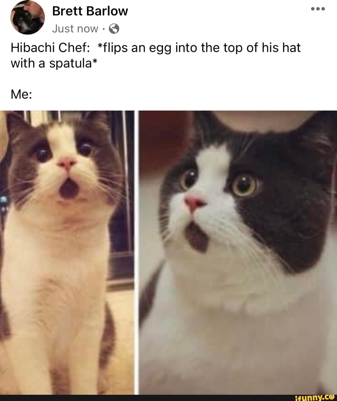 Hibachi memes. Best Collection of funny Hibachi pictures on iFunny
