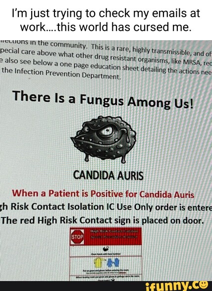 Auris memes. Best Collection of funny Auris pictures on iFunny