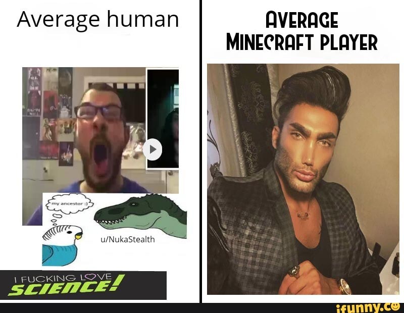 Average human AVERAGE MINECRAFT PLAYER FUCKING LOVE - iFunny