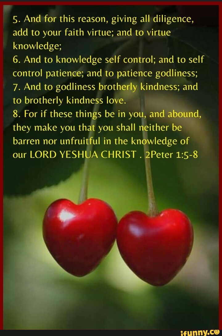 5. And for this reason, giving all diligence, add to your faith virtue; and to virtue knowledge ...