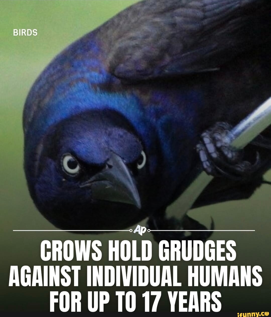 Dr. Siiri Takala Please under no circumstances drink uranium ...