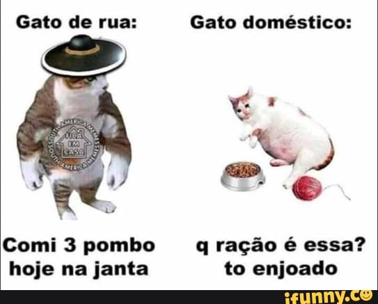 O divorcio leva aos filhos pros piores lugares - )