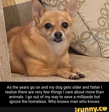 Millipede memes. Best Collection of funny Millipede pictures on iFunny