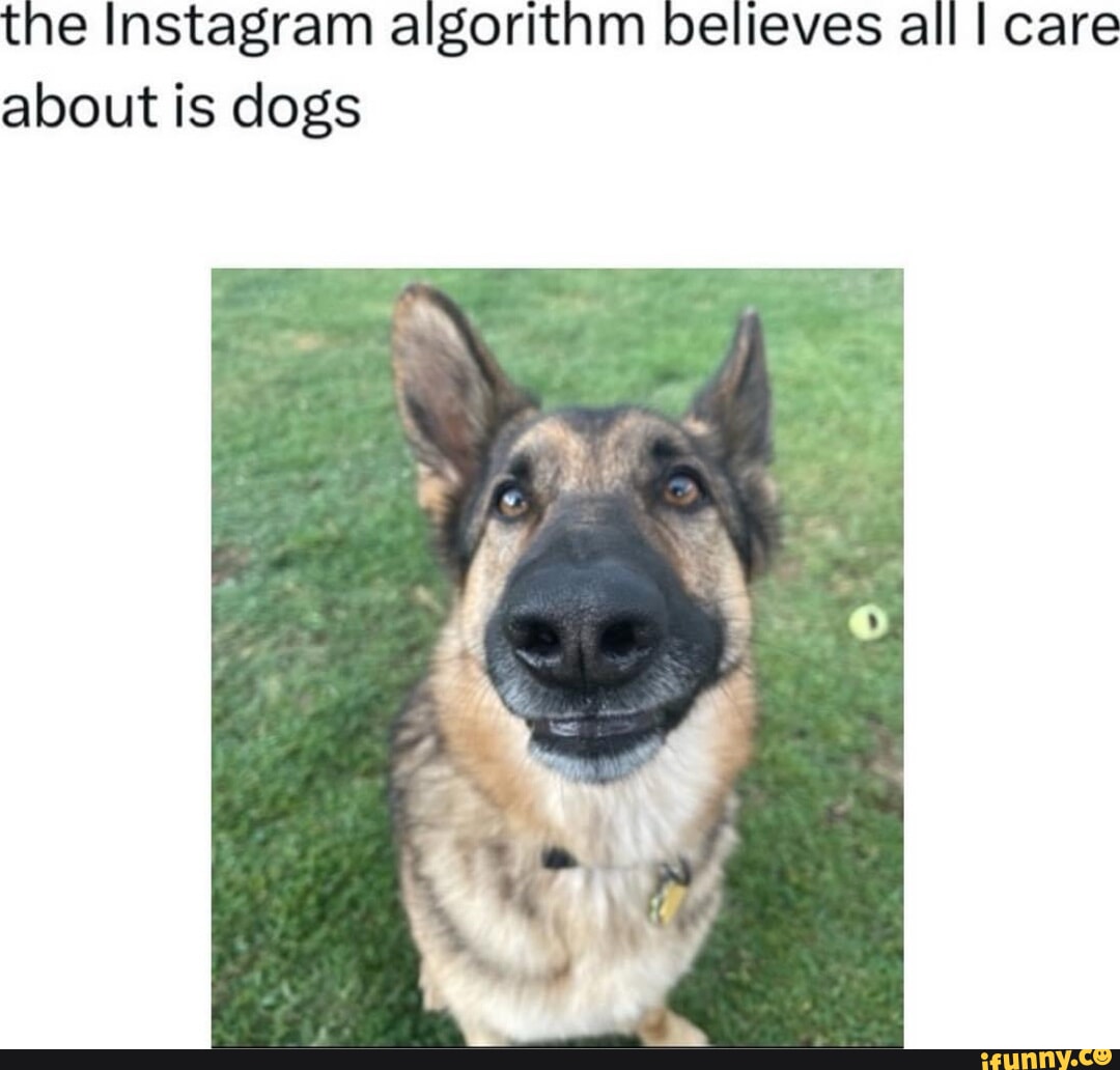 Algorithm memes. Best Collection of funny Algorithm pictures on iFunny