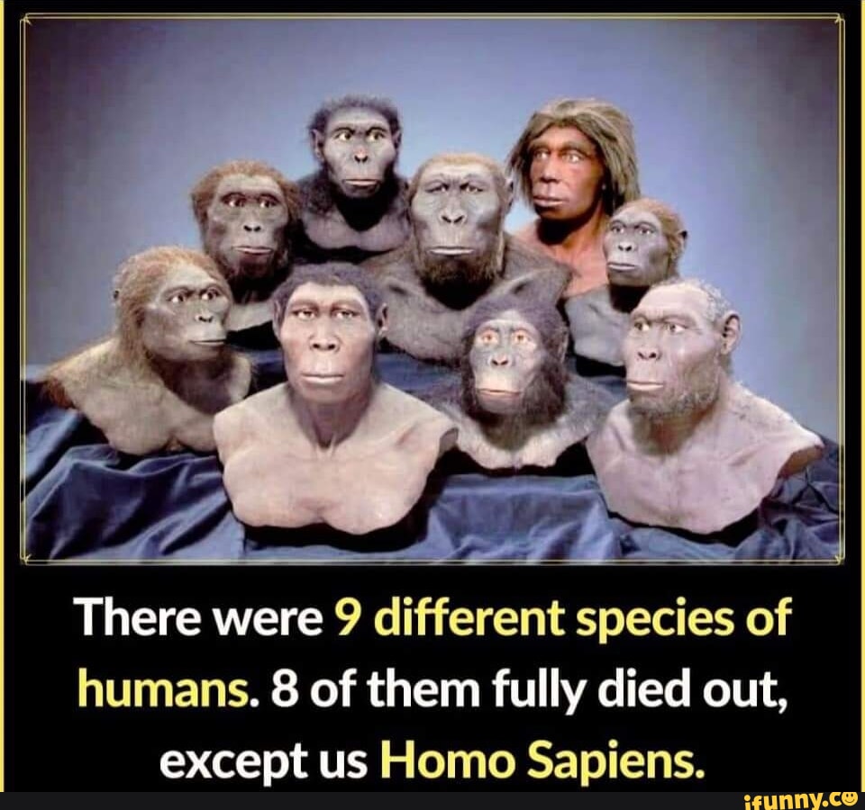There were 9 different species of humans. 8 of them fully died out ...