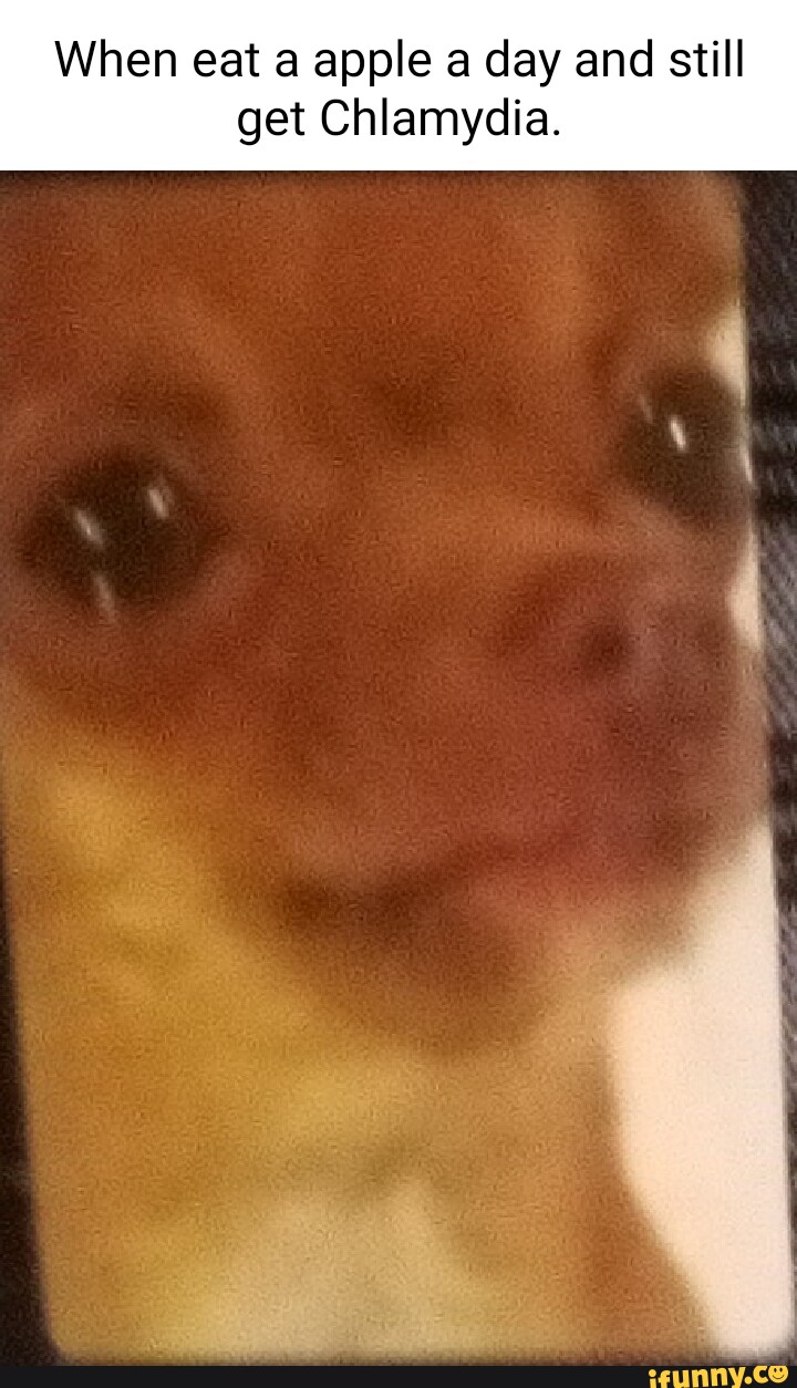 Chlamydia memes. Best Collection of funny Chlamydia pictures on iFunny