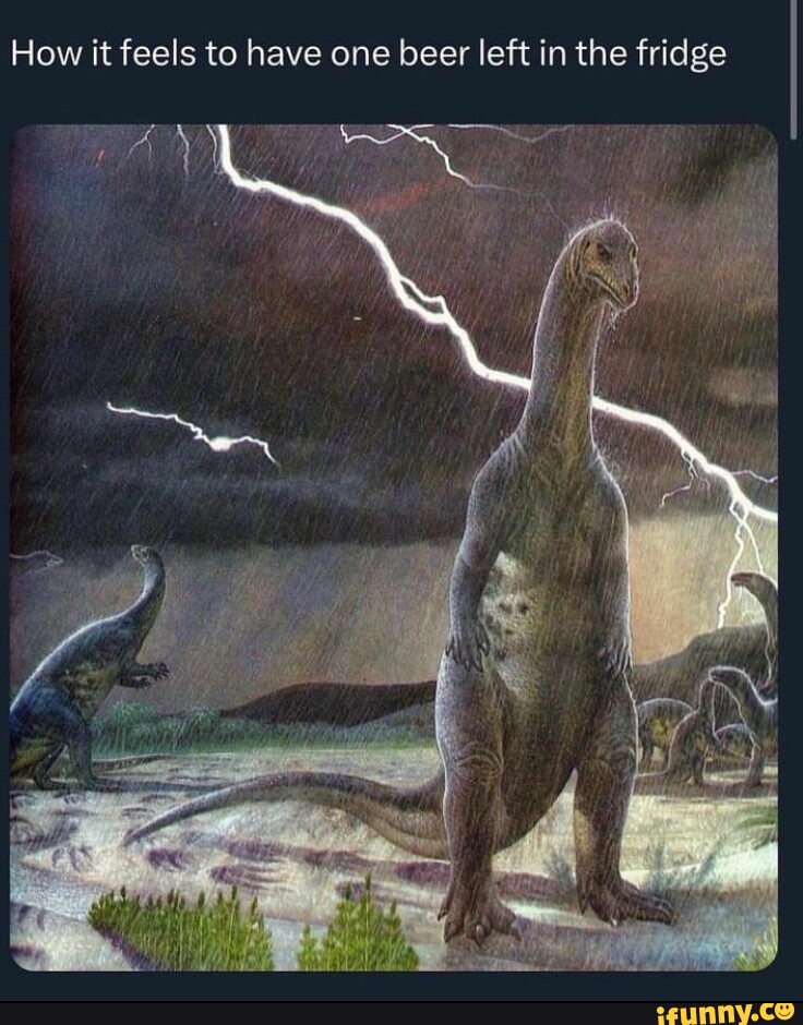 I'm gonna have a positive attitude today me 5 minutes into the day * I ...