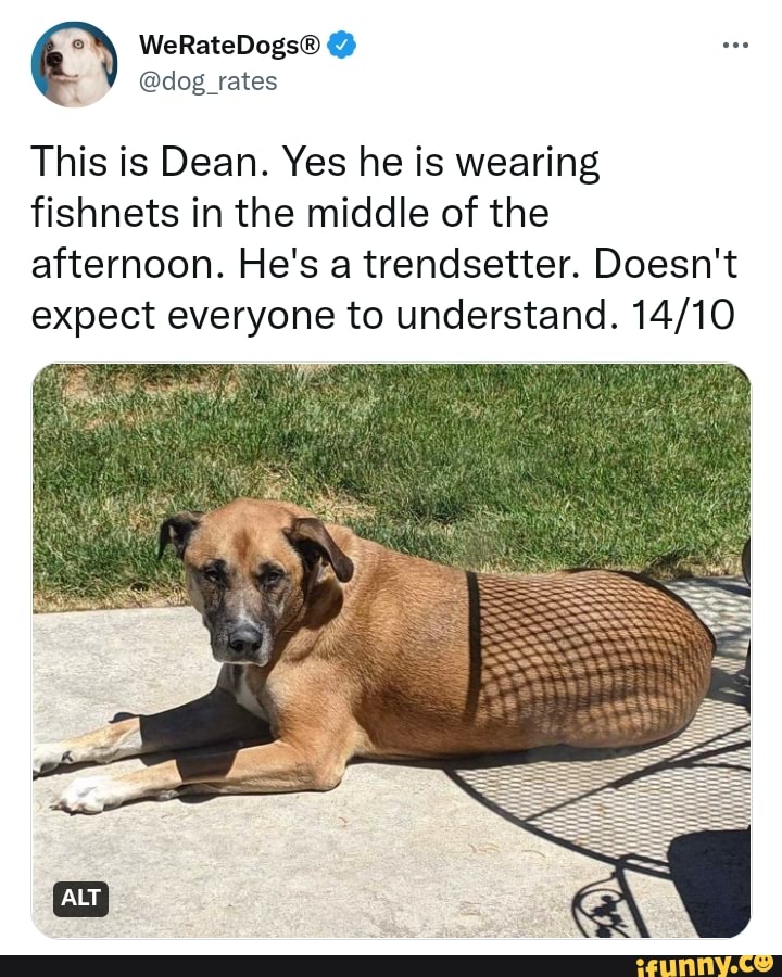 Trendsetter memes. Best Collection of funny Trendsetter pictures on iFunny