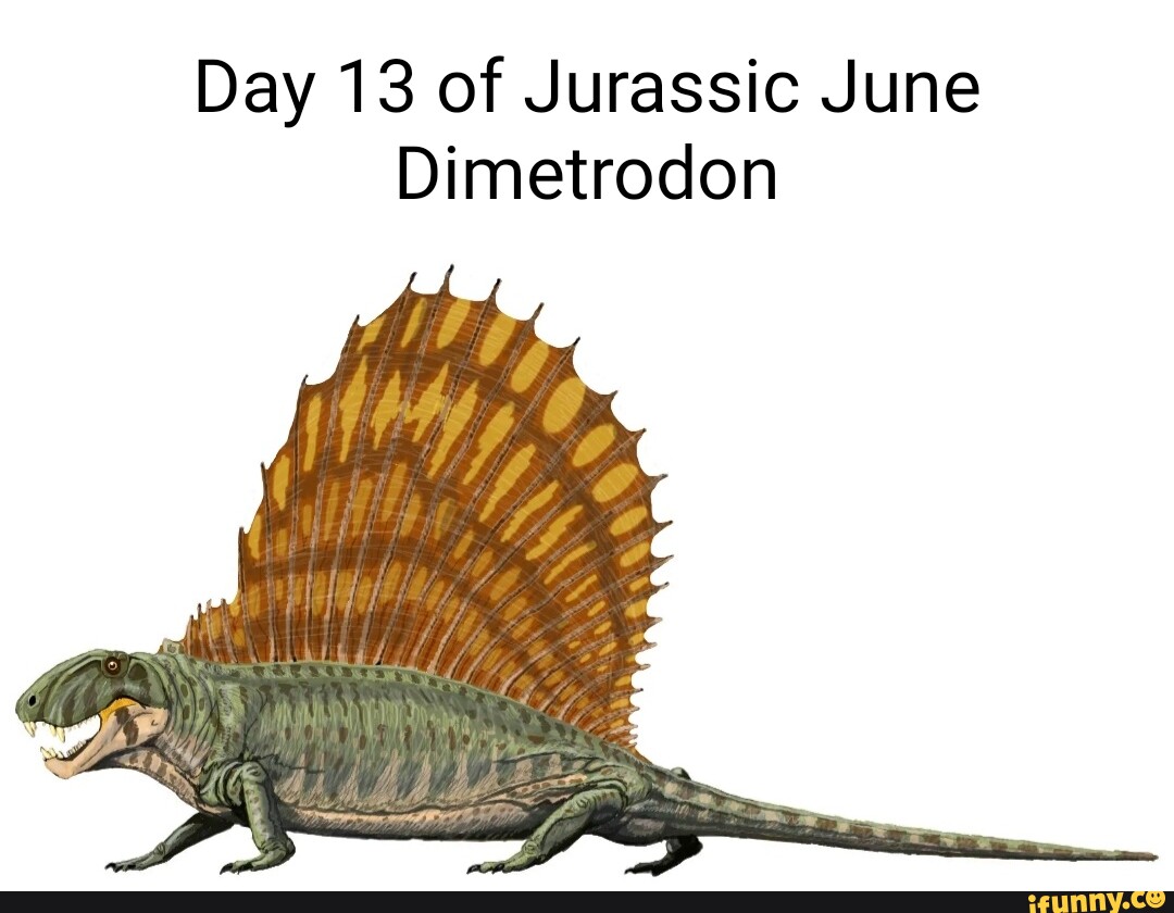 Dimetrodon memes. Best Collection of funny Dimetrodon pictures on iFunny