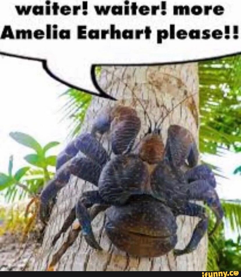 Video memes 9gw1U0rMA by Erios: 1 comment - iFunny