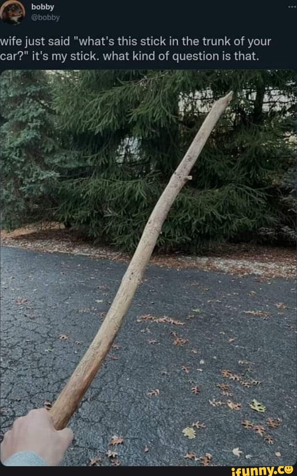 Trunk memes. Best Collection of funny Trunk pictures on iFunny
