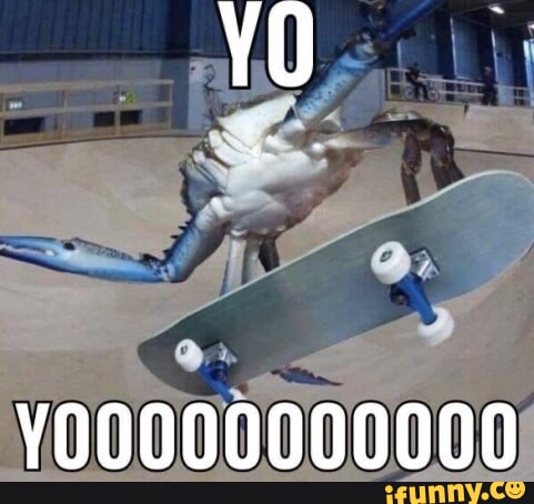 Skateboarding memes. Best Collection of funny Skateboarding pictures on ...
