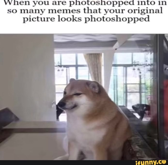 En you are photoshopped into in so many memes that your original ...