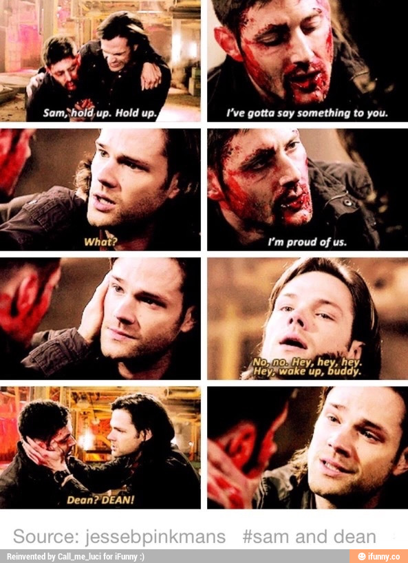 Dkdkd memes. Best Collection of funny Dkdkd pictures on iFunny