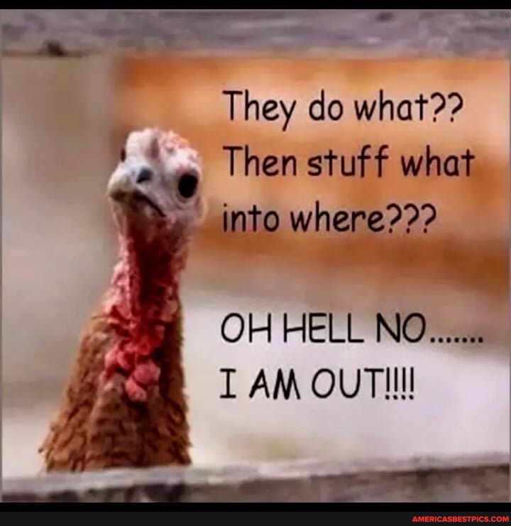 N/A - They do what?? Then stuff what into where??? OH HELL NO....... I ...