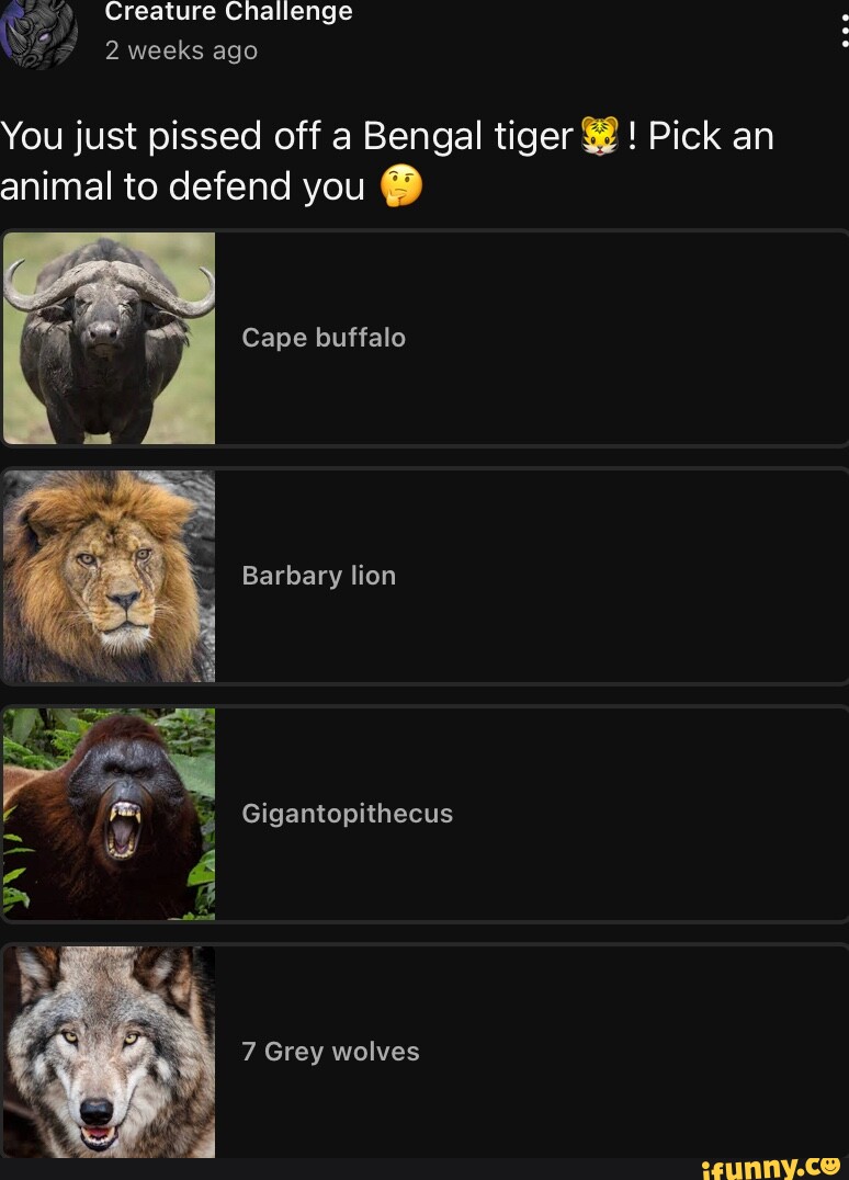 Gigantopithecus memes. Best Collection of funny Gigantopithecus ...