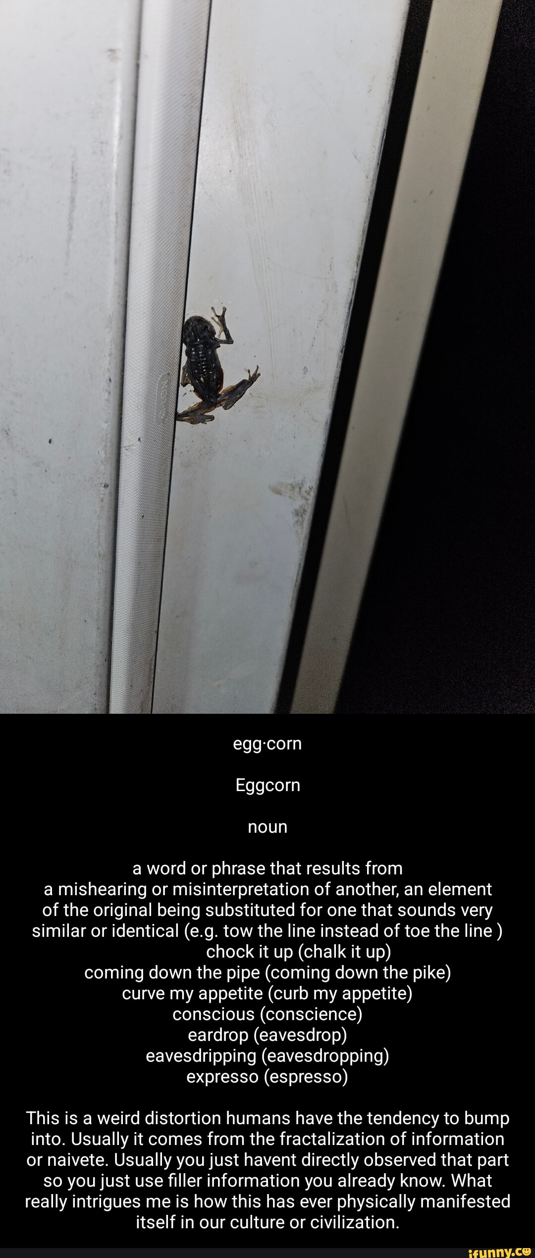 Mishearing memes. Best Collection of funny Mishearing pictures on iFunny