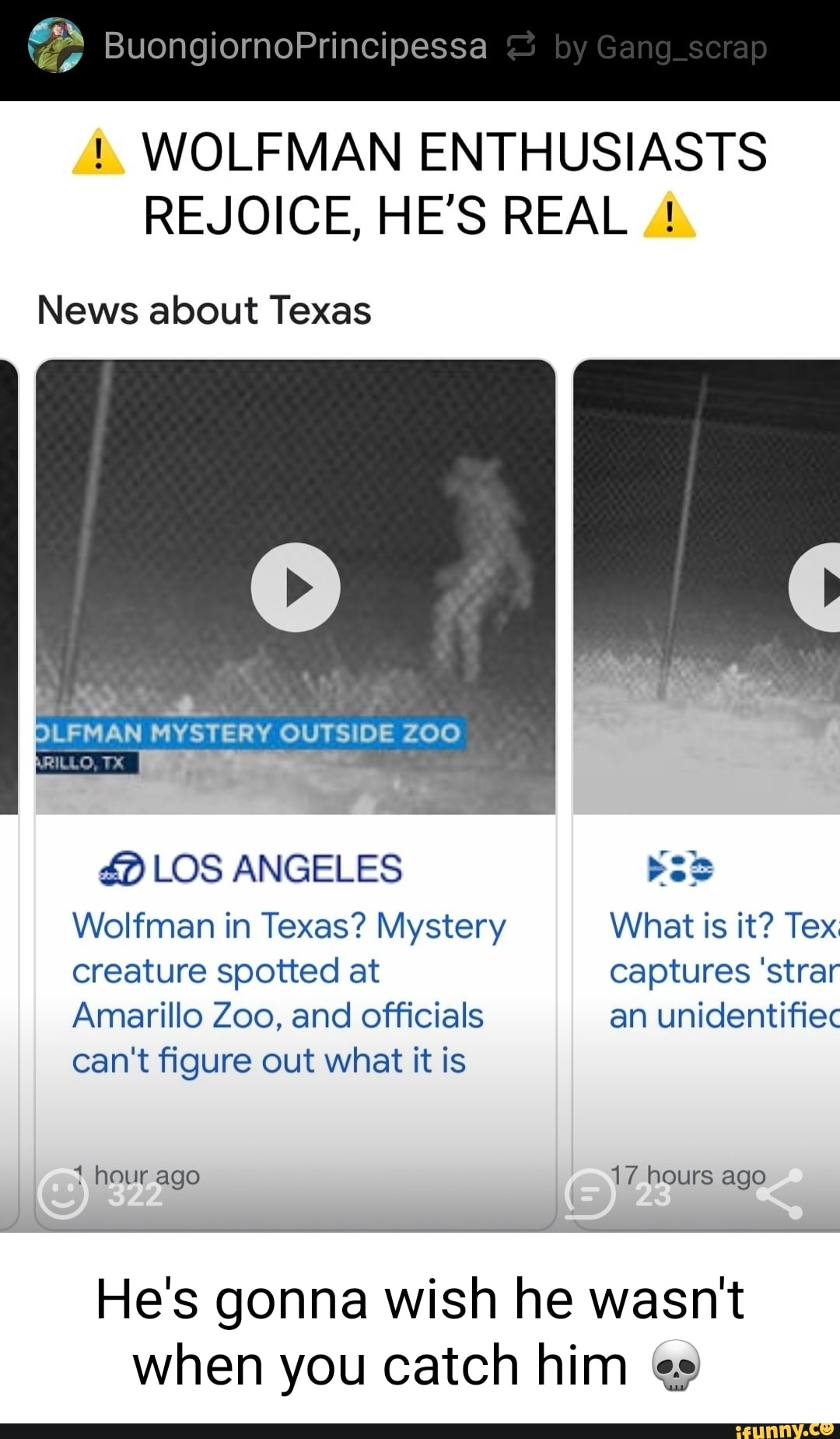 Ex BuongiornoPrincipessa by Gang_scrap A, WOLFMAN ENTHUSIASTS REJOICE ...