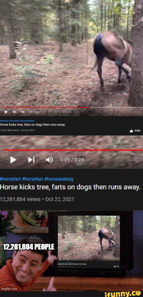 Horse kicks tree, farts on dogs then runs away. 2,281,884 views Oct 22 ...