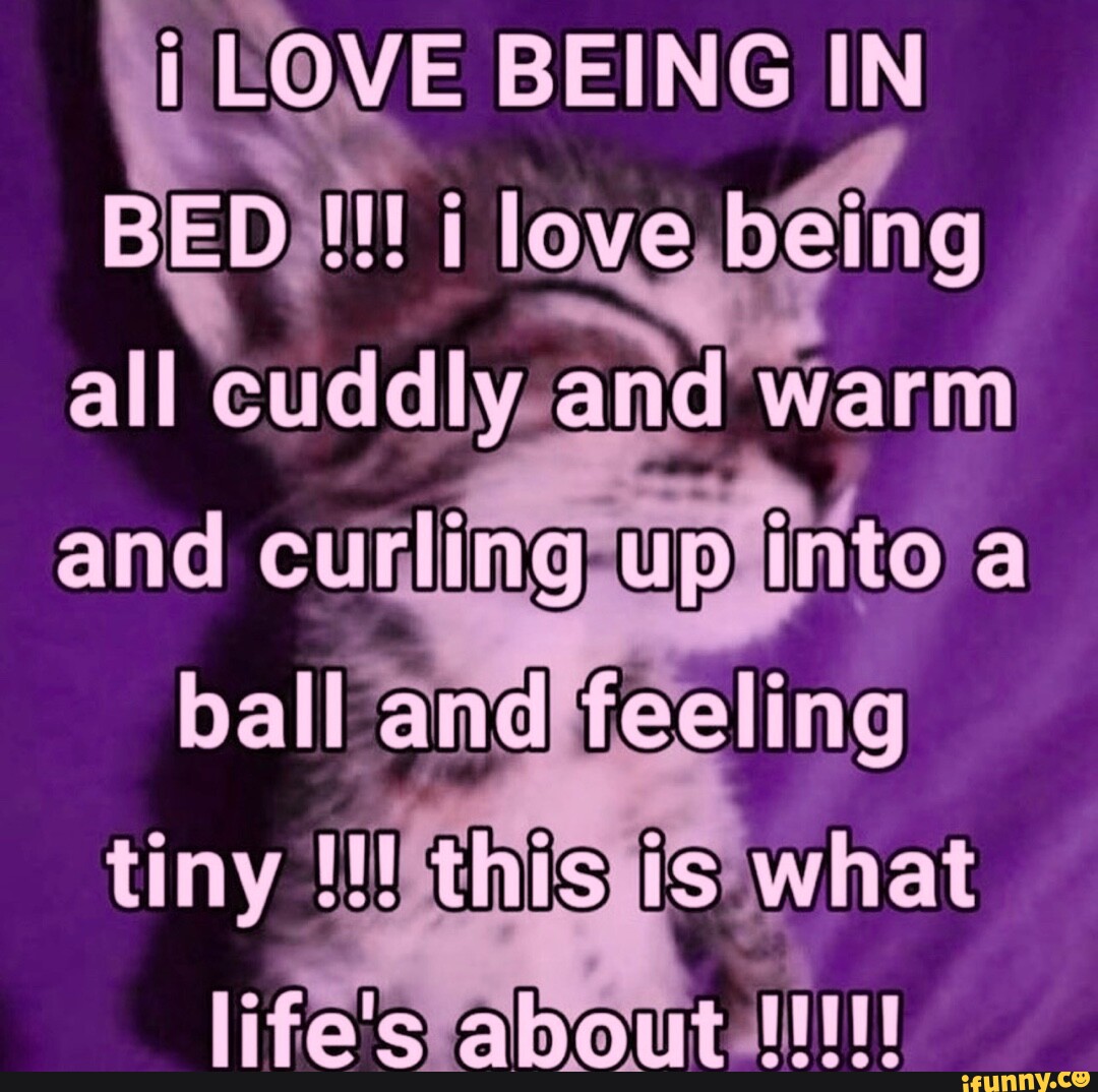 Curling memes. Best Collection of funny Curling pictures on iFunny