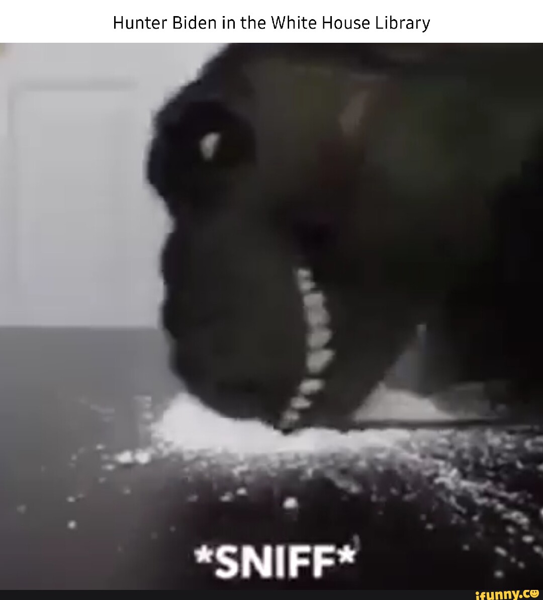 Hunter Biden in the White House Library *SNIFF* - iFunny