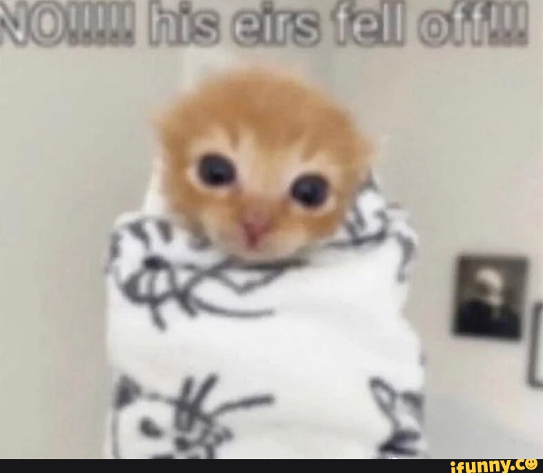 Smol memes. Best Collection of funny Smol pictures on iFunny