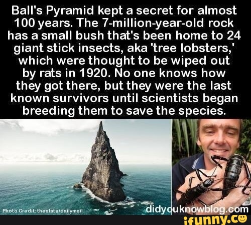 Ball's Pyramid kept a secret for almost 100 years. The 7-million-year ...