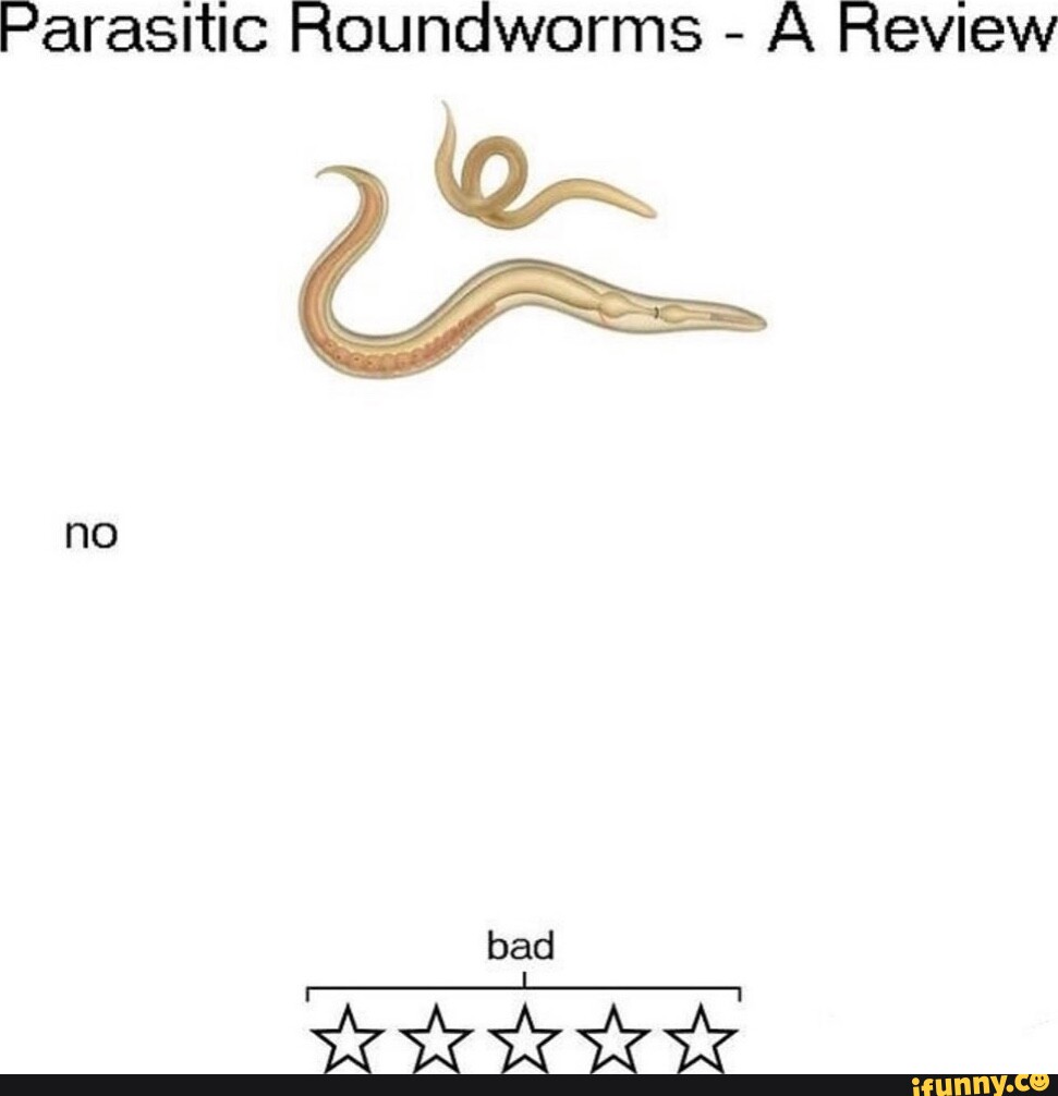 Roundworms memes. Best Collection of funny Roundworms pictures on iFunny
