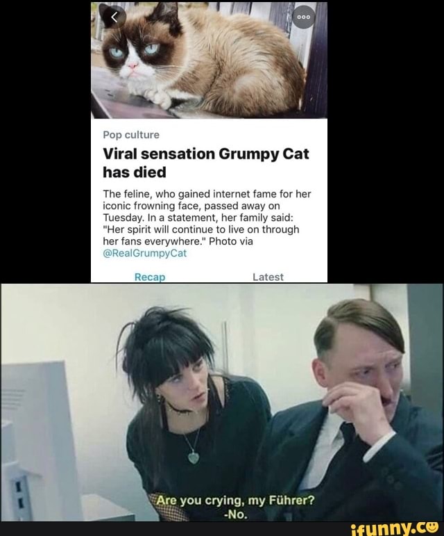 Mein Fuhrer Cat