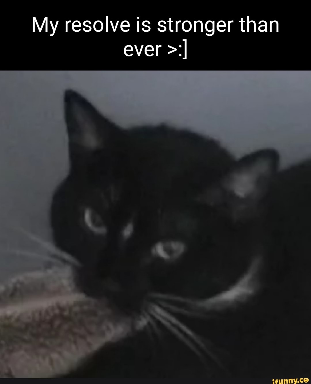 My resolve is stronger than ever - iFunny