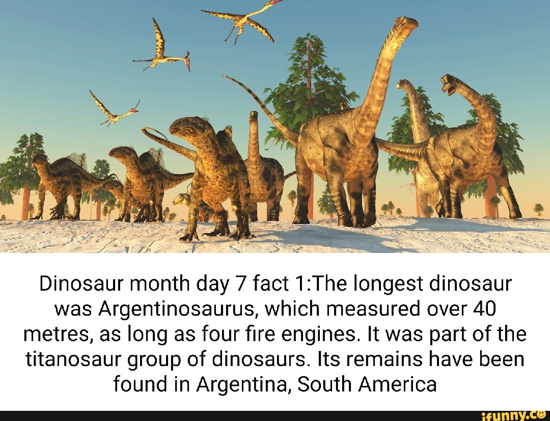 Dinosaur month day 7 fact longest dinosaur was Argentinosaurus, which ...